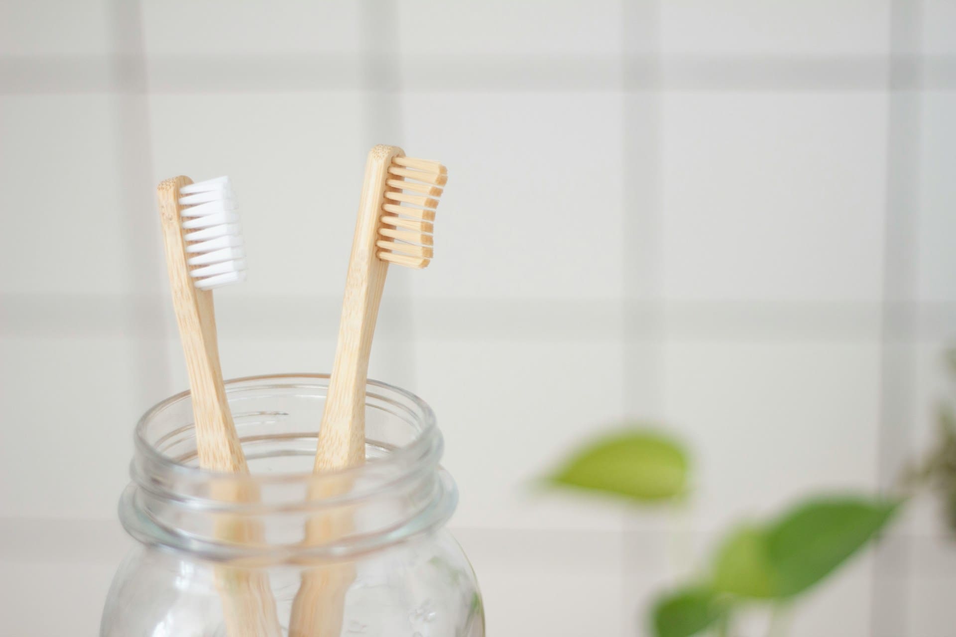 How to Avoid Gum Disease